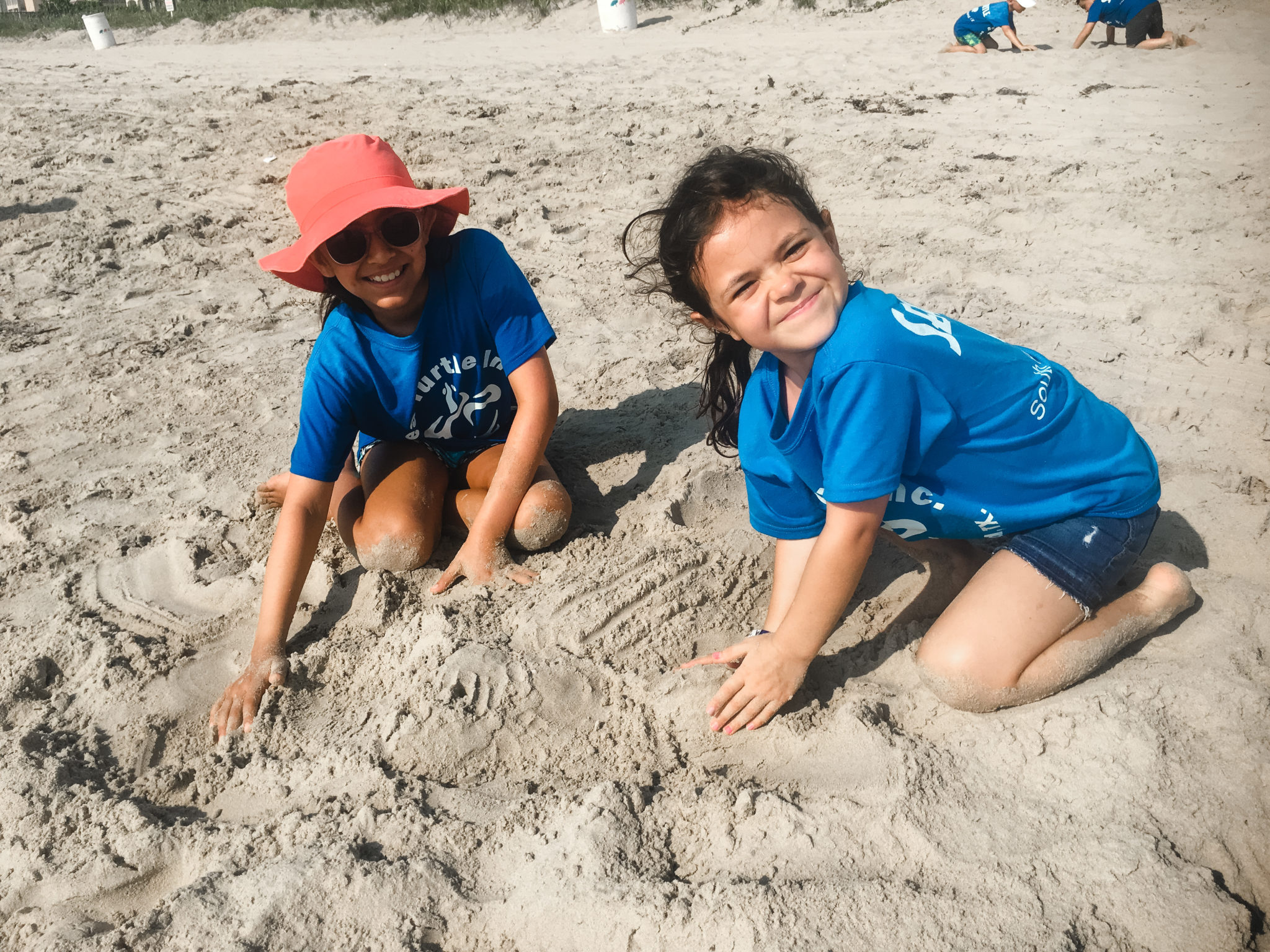 Interactive Virtual Learning - Sea Turtle, Inc.