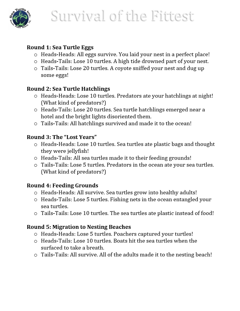 Survival – Sea Turtle, Inc