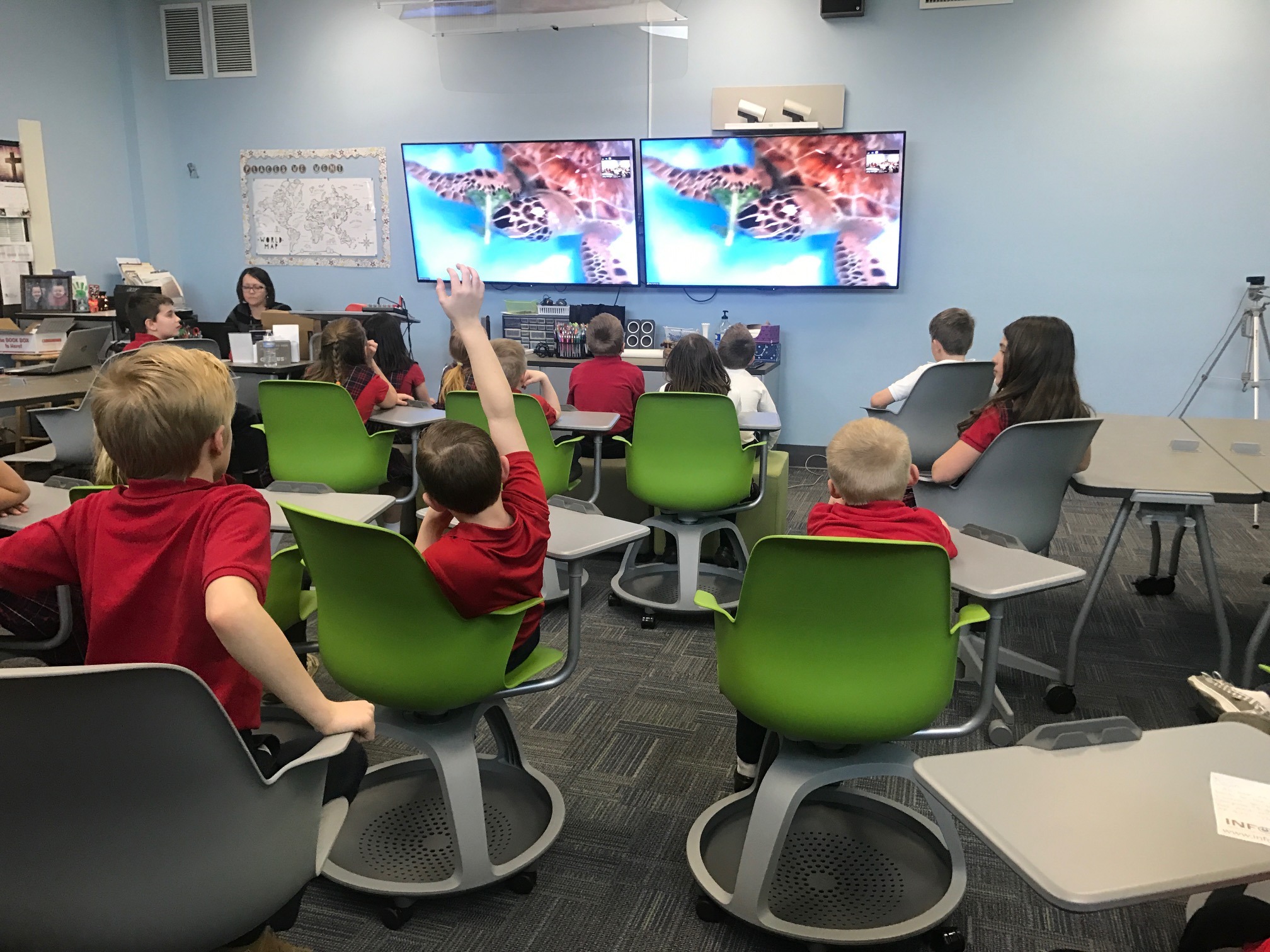 Interactive Virtual Learning - Sea Turtle, Inc.