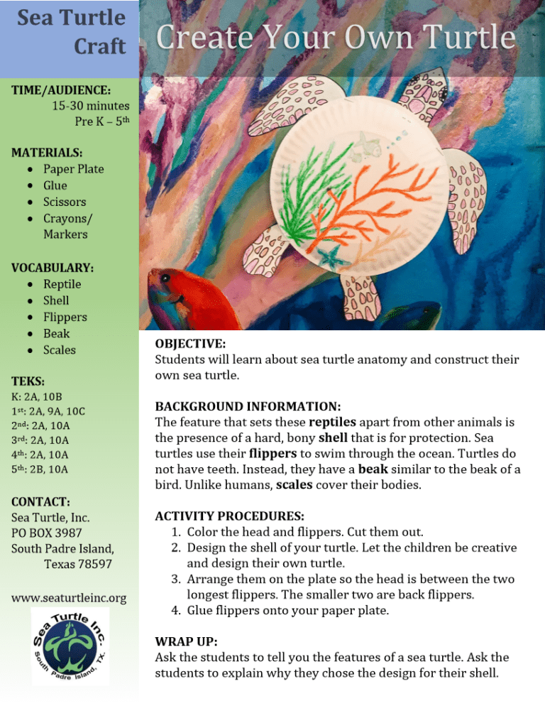 Create your own Sea Turtle - Sea Turtle, Inc.