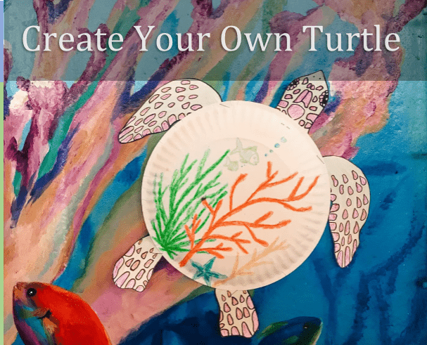 Create Your Own Sea Turtle - Sea Turtle Inc.