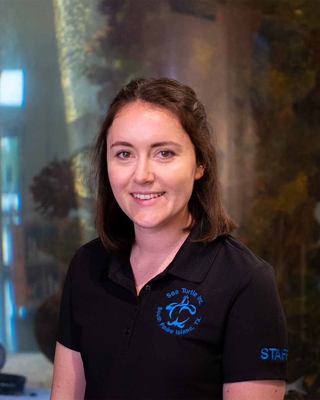 Meet Our Team - Sea Turtle, Inc.