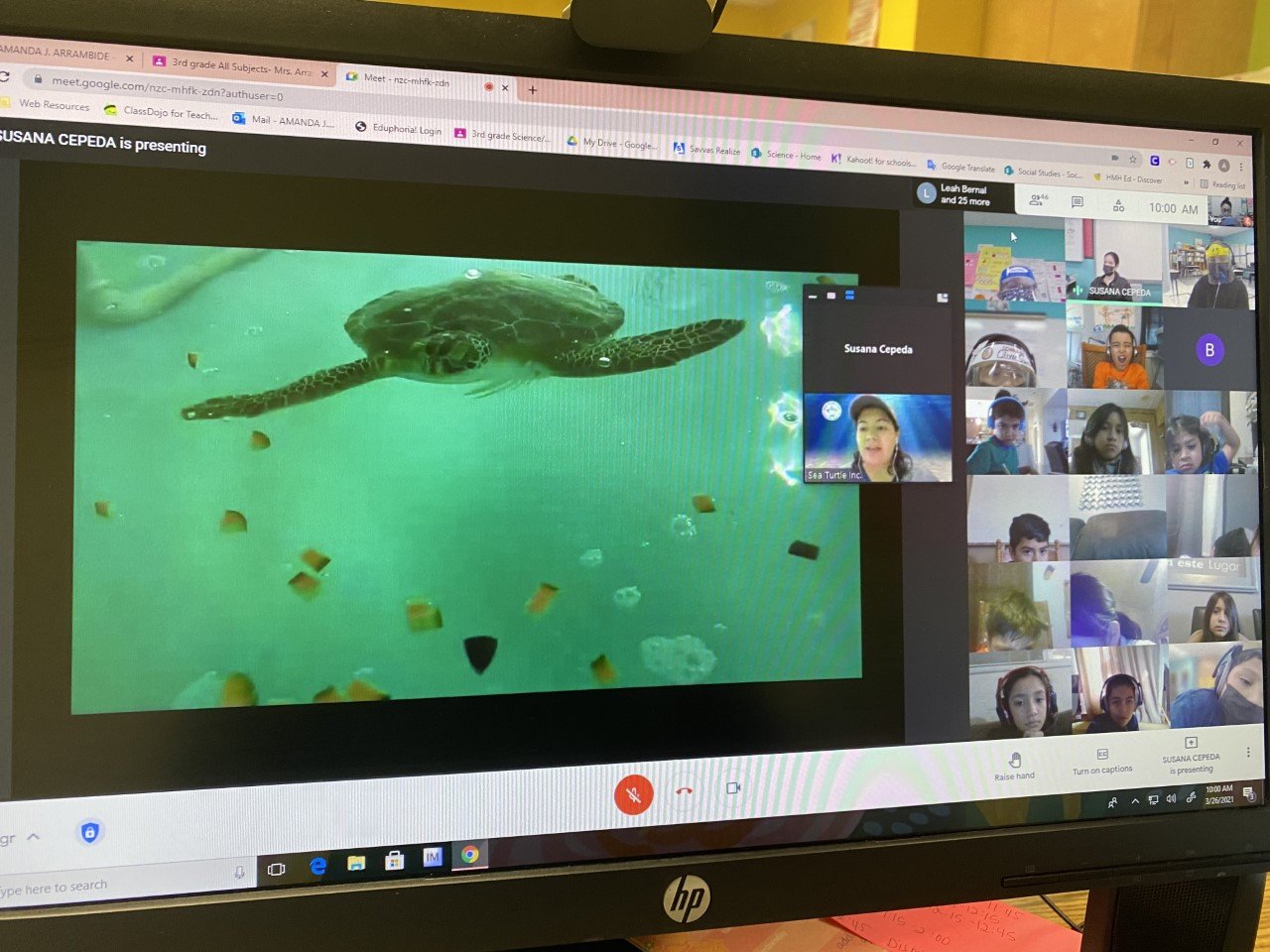 Virtual Lesson Plans - Sea Turtle Inc.