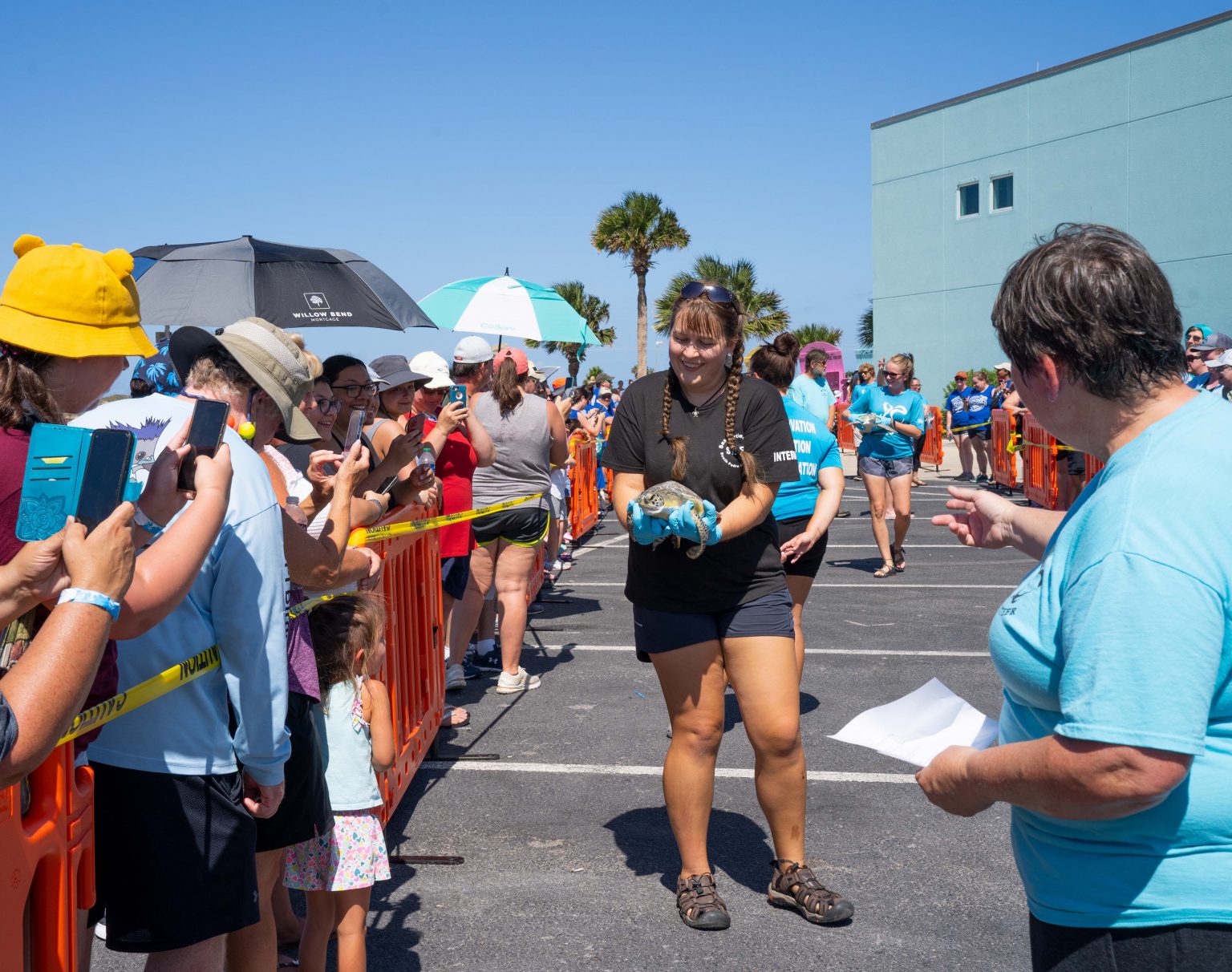 Conservation – Sea Turtle, Inc.