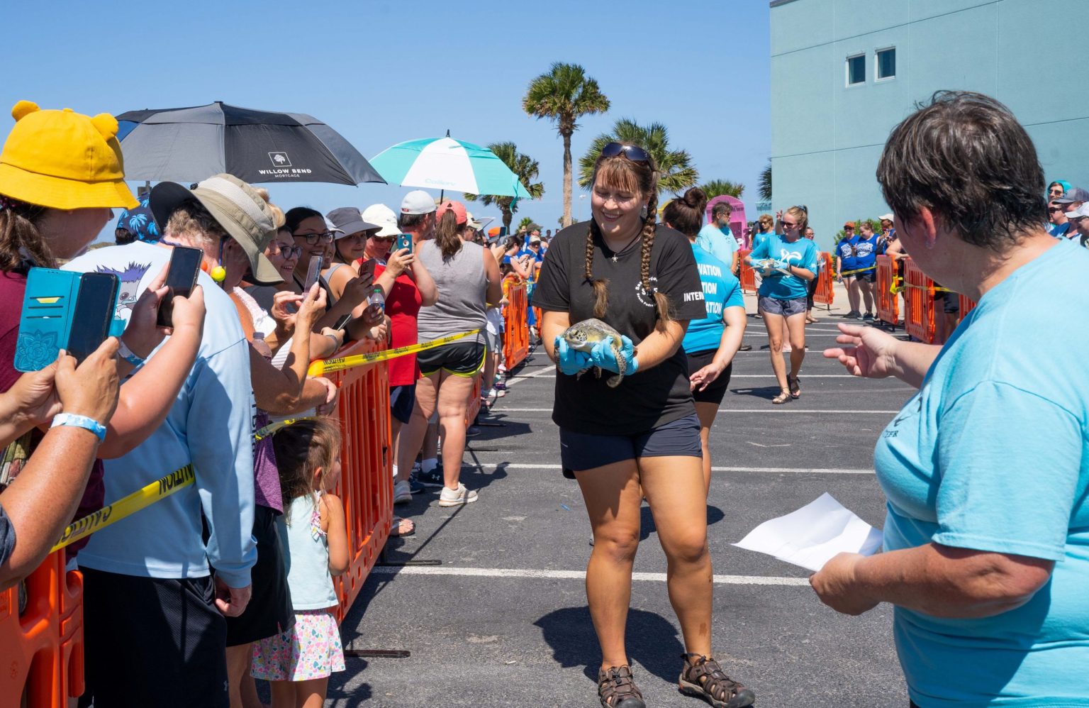 Conservation - Sea Turtle, Inc.