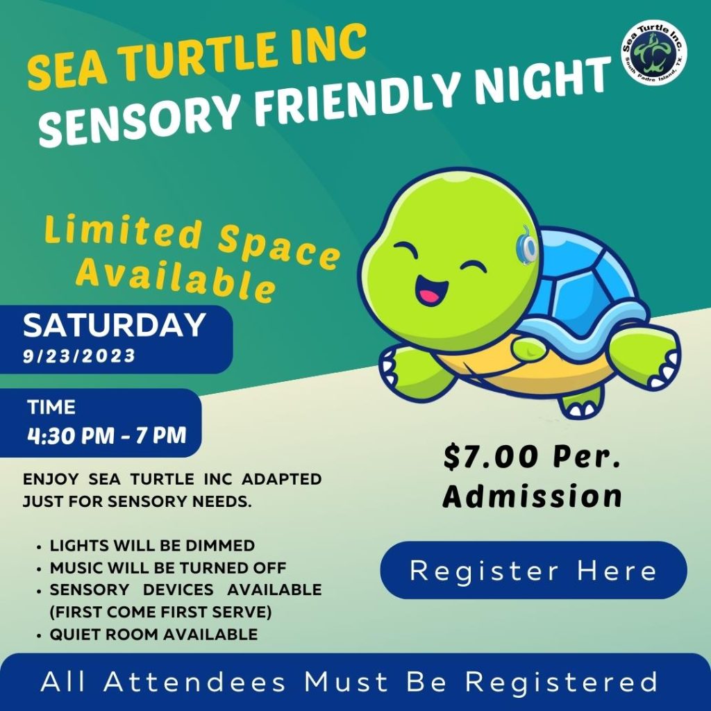 Sea Turtle, Inc. – Conservation | Medical Care | Applied Research ...