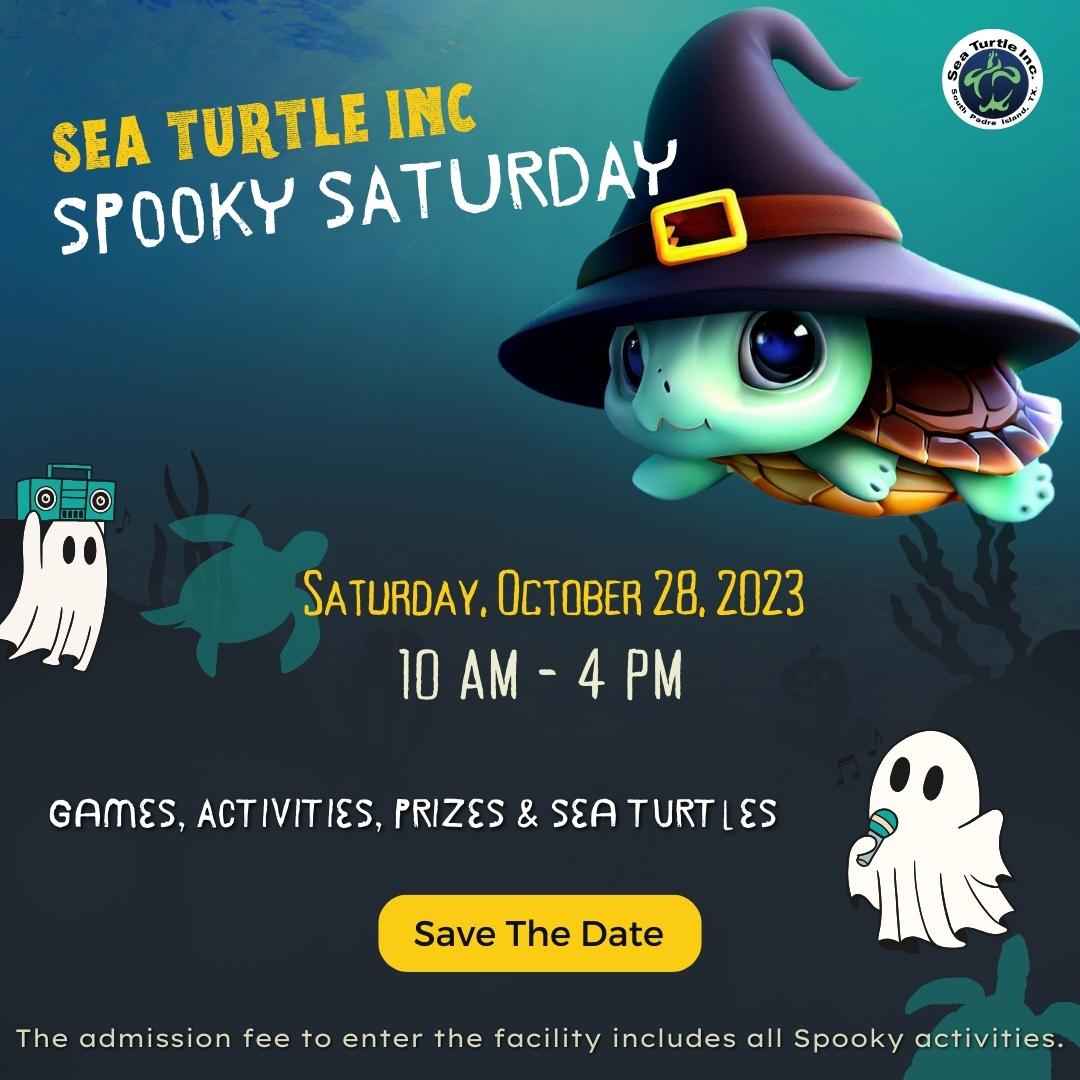 VISIT – Sea Turtle, Inc.