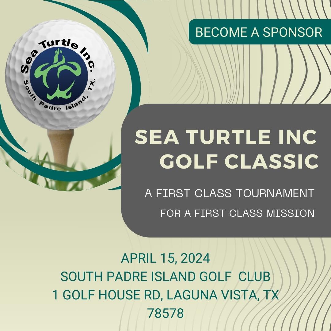 Sea Turtle, Inc. – Conservation | Medical Care | Applied Research ...