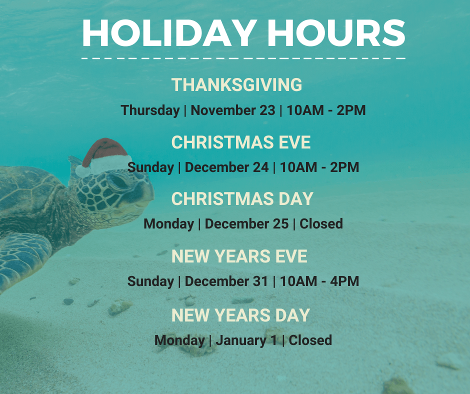 VISIT – Sea Turtle, Inc.