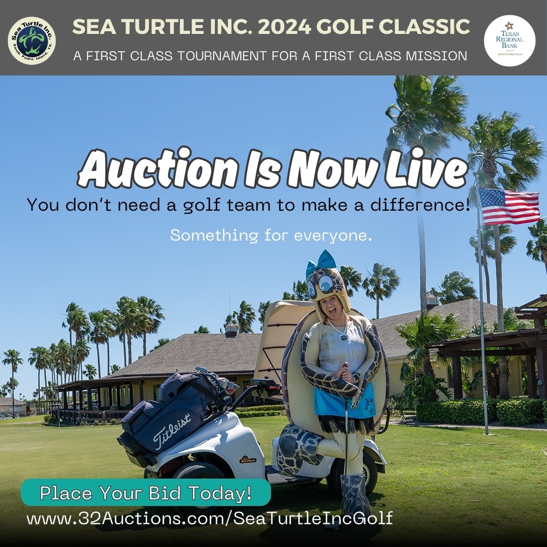 Sea Turtle, Inc. – Conservation | Medical Care | Applied Research ...