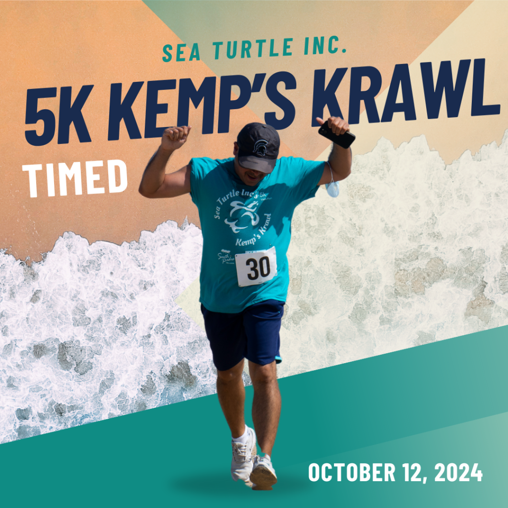 5K Kemp’s Krawl – Sea Turtle, Inc.