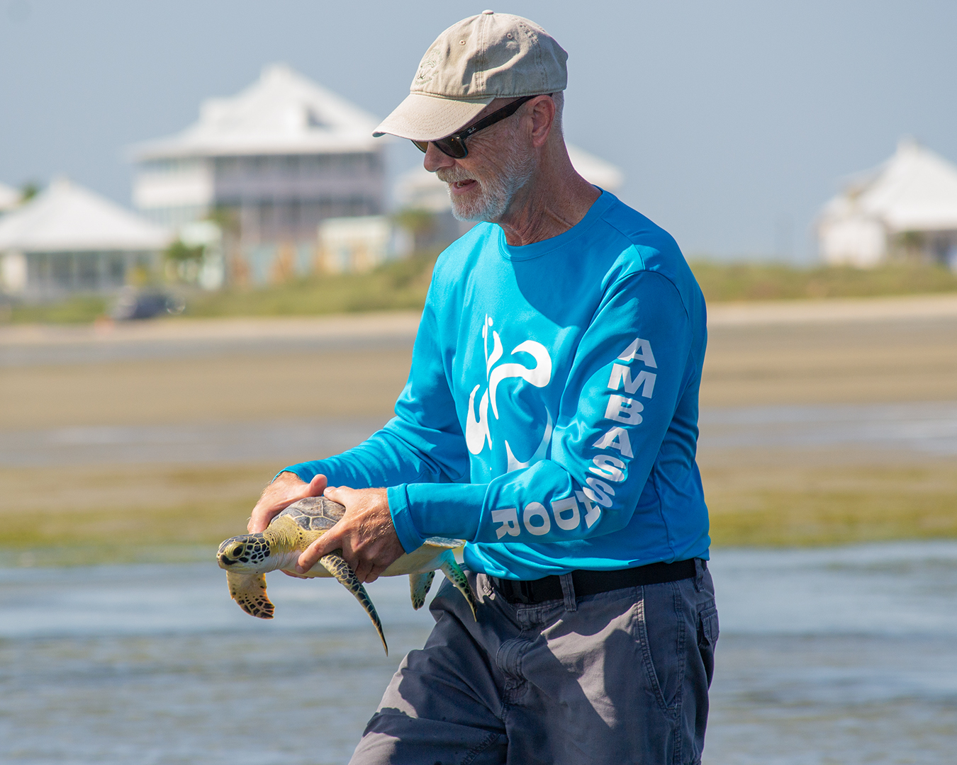 Volunteer - Sea Turtle Inc.