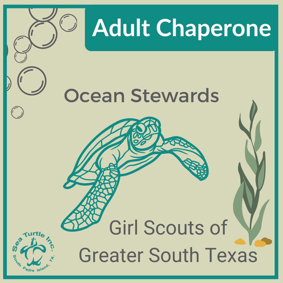 Girl Scouts - Sea Turtle, Inc.