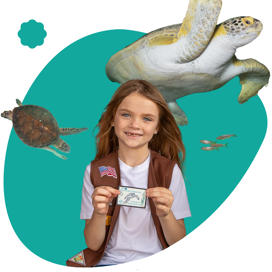 Girl Scouts - Sea Turtle, Inc.
