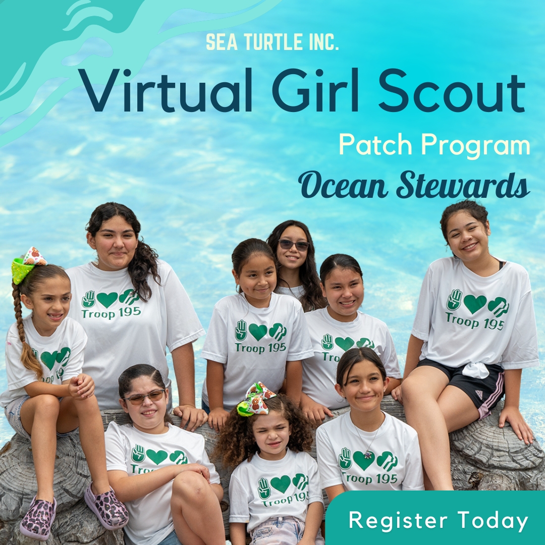 Girl Scouts - Sea Turtle, Inc.