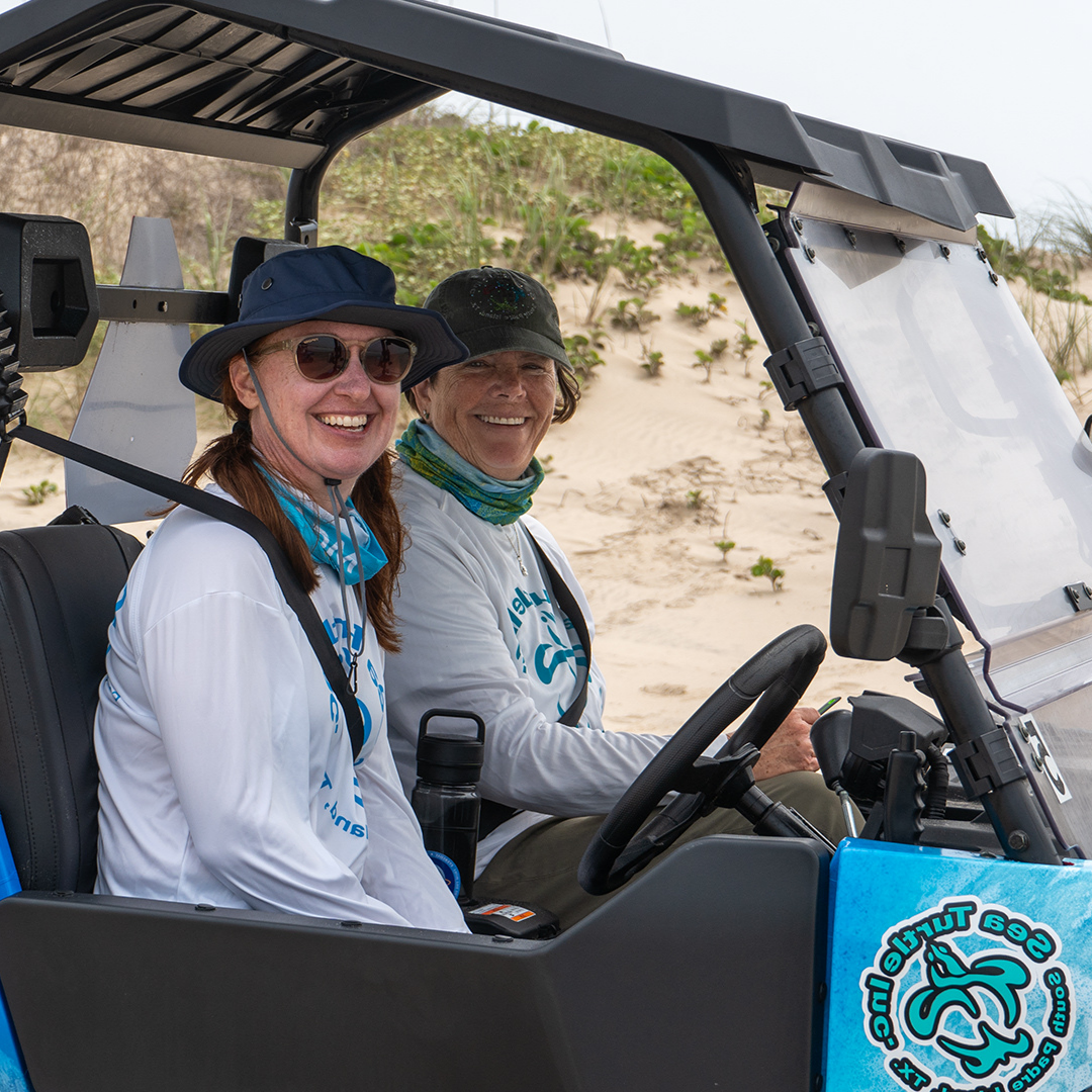 NEWSLETTER - Sea Turtle Inc.