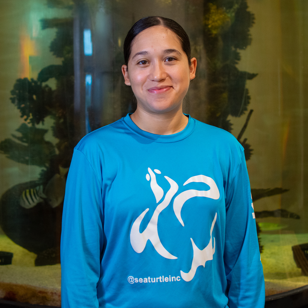 Meet Our Team - Sea Turtle, Inc.