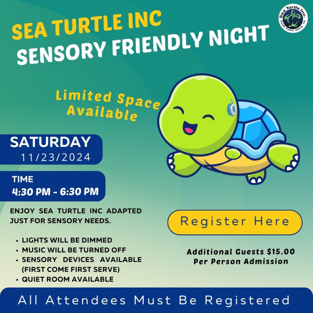 Sea Turtle, Inc. – Conservation | Medical Care | Applied Research ...