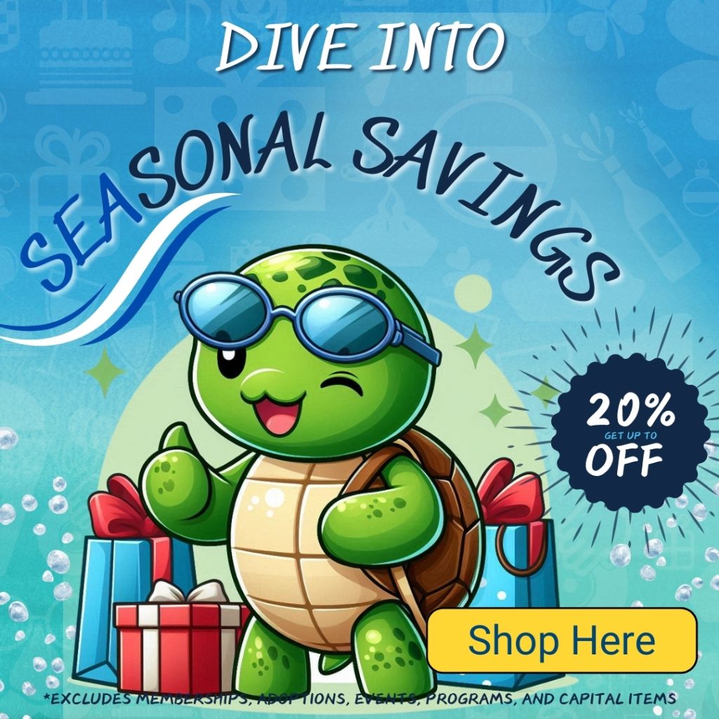 Sea Turtle, Inc. – Conservation | Medical Care | Applied Research ...