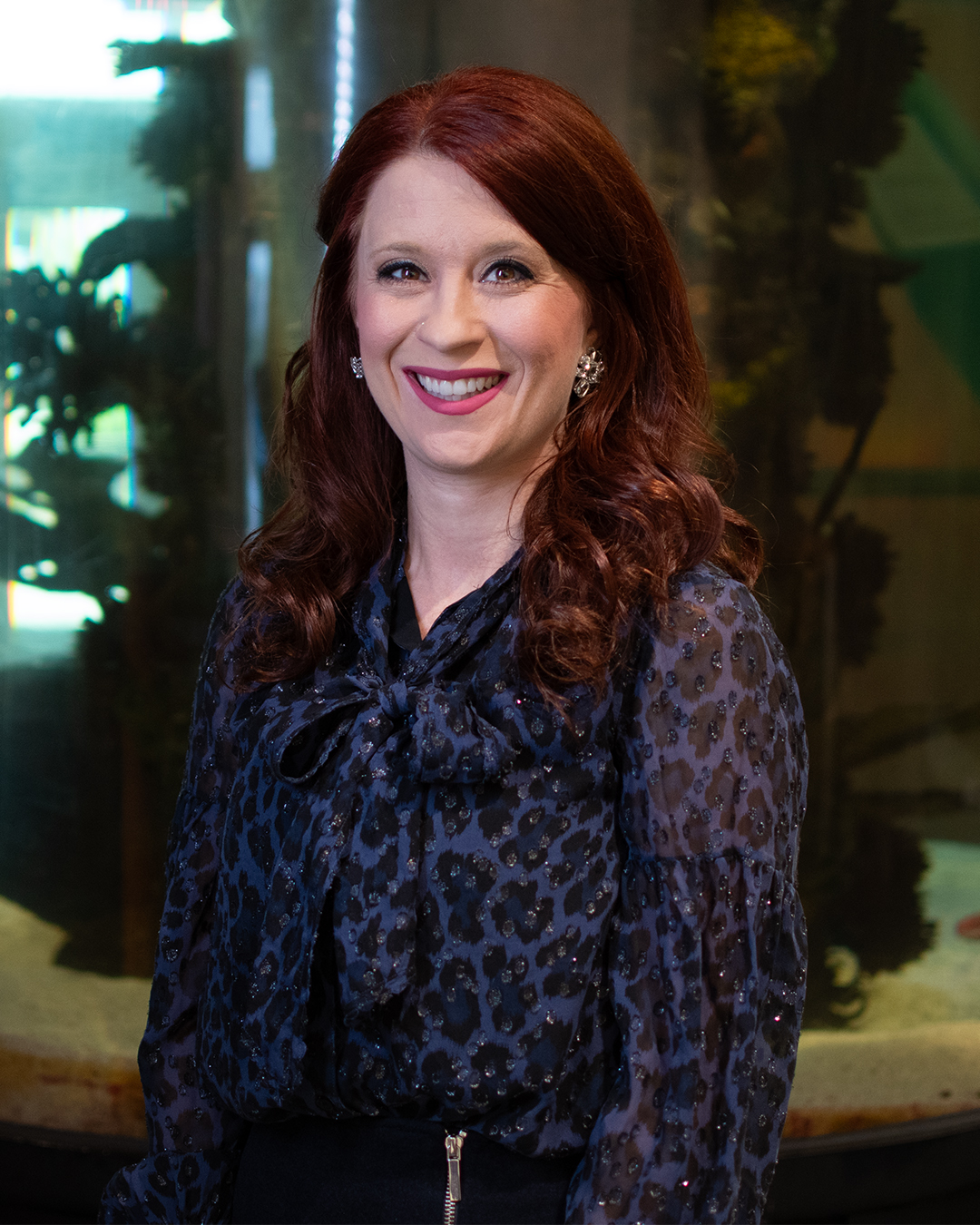 Meet Our Team - Sea Turtle, Inc.