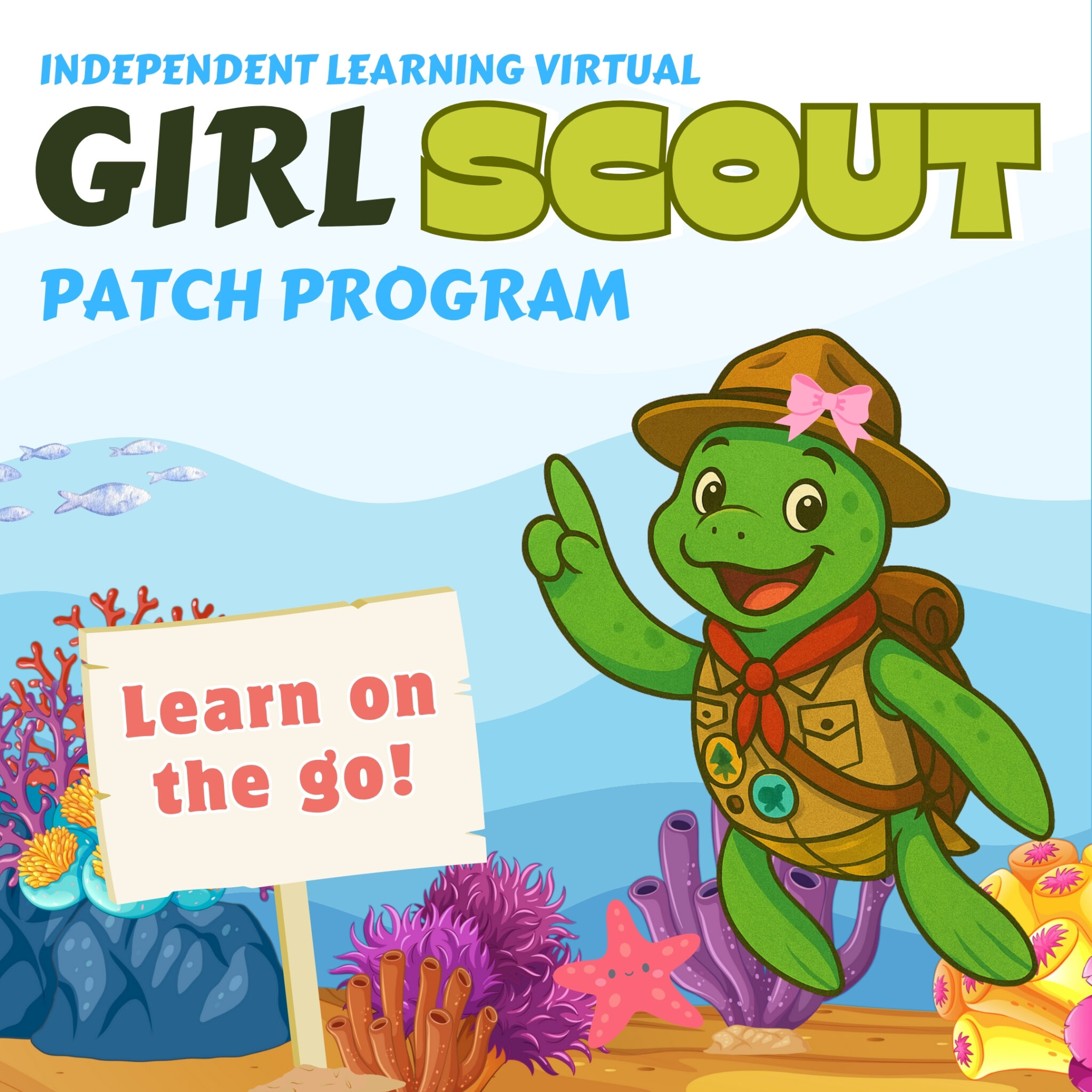 Interactive Virtual Learning - Sea Turtle Inc.
