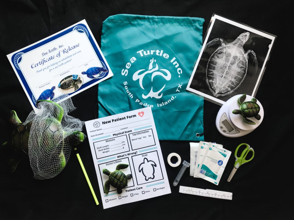 Be a Vet! - Sea Turtle Inc.