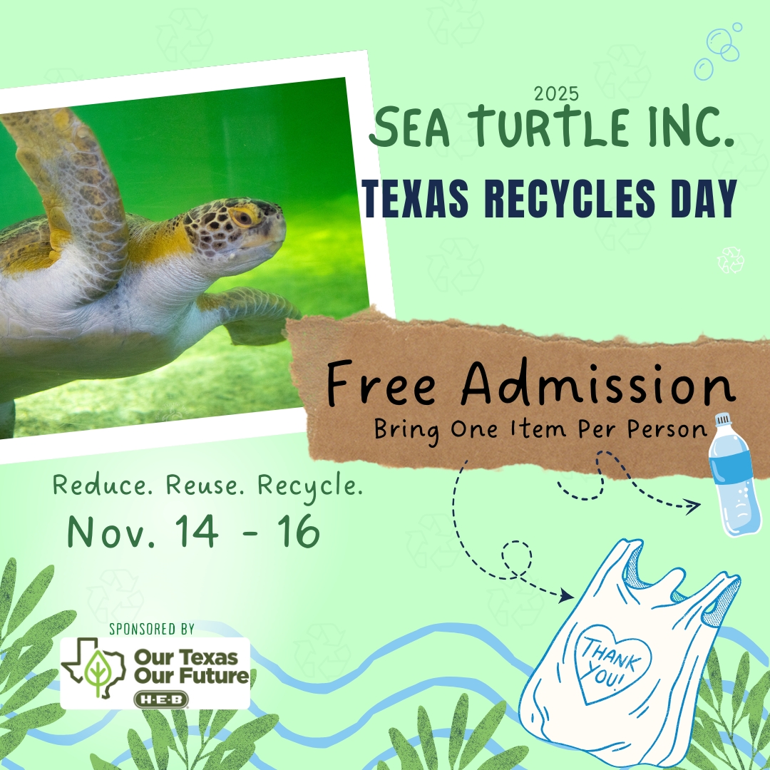 Texas Recycles Day - Sea Turtle, Inc.