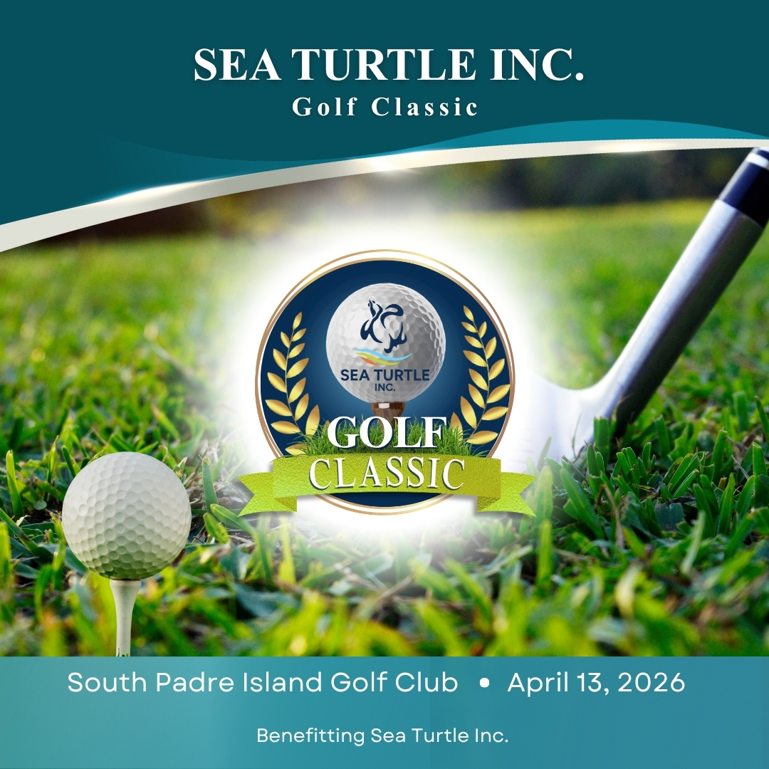 HOME - Sea Turtle Inc.